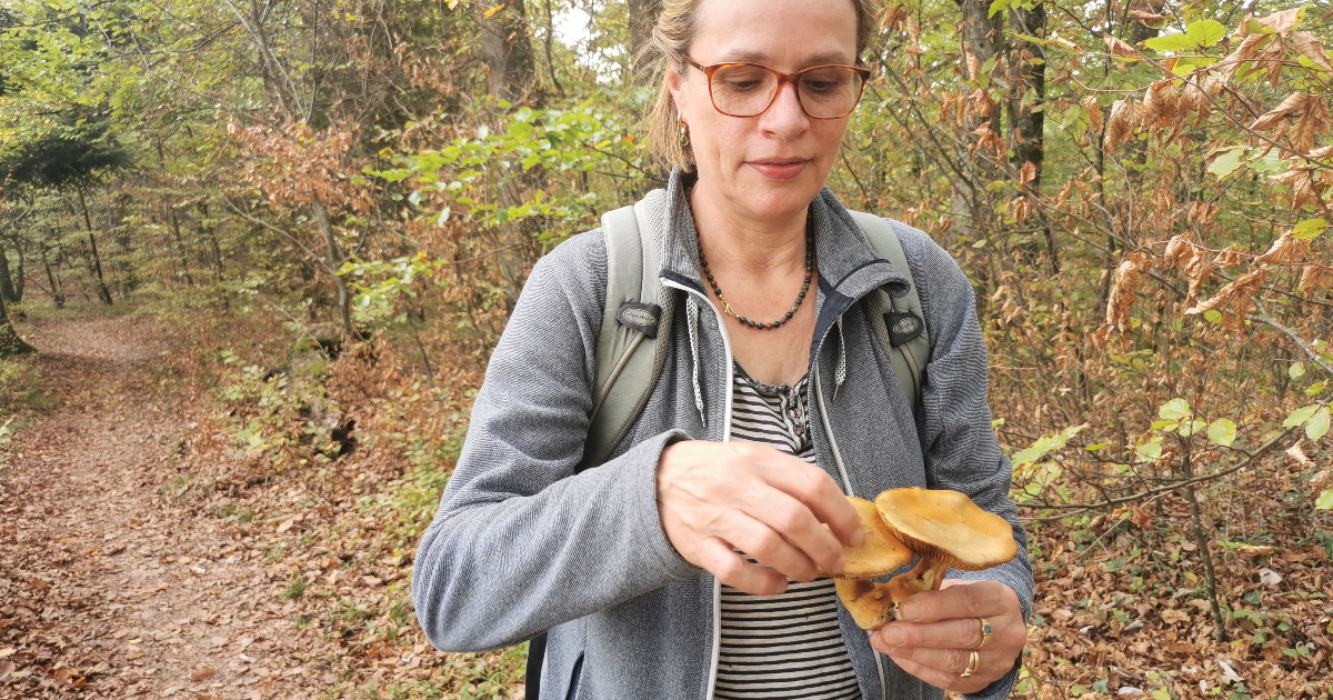Pilze sammeln, aber richtig: 10 Tipps von der Kontrolleurin | Helvetic Care